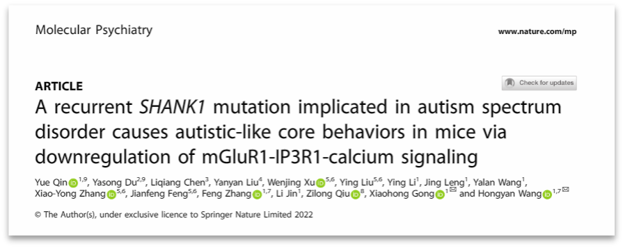 复旦大学王红艳/公晓红团队揭示自闭症核心症状的分子机制