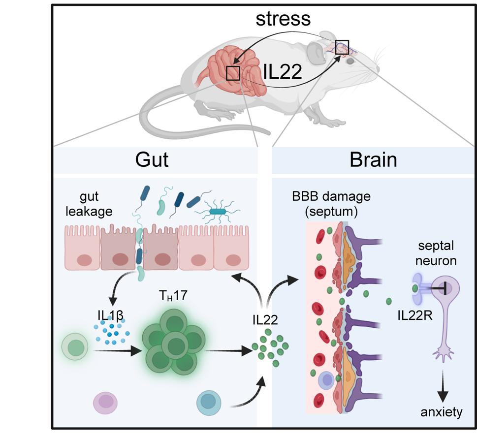【科研速递】步履不停！复旦岁末科研亮点几何？