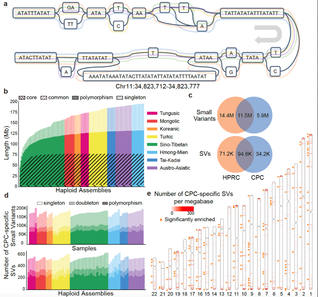 首个中国人群专属的泛基因组参考图谱！复旦、西安交大、中国医科院等团队在《自然》主刊发布成果