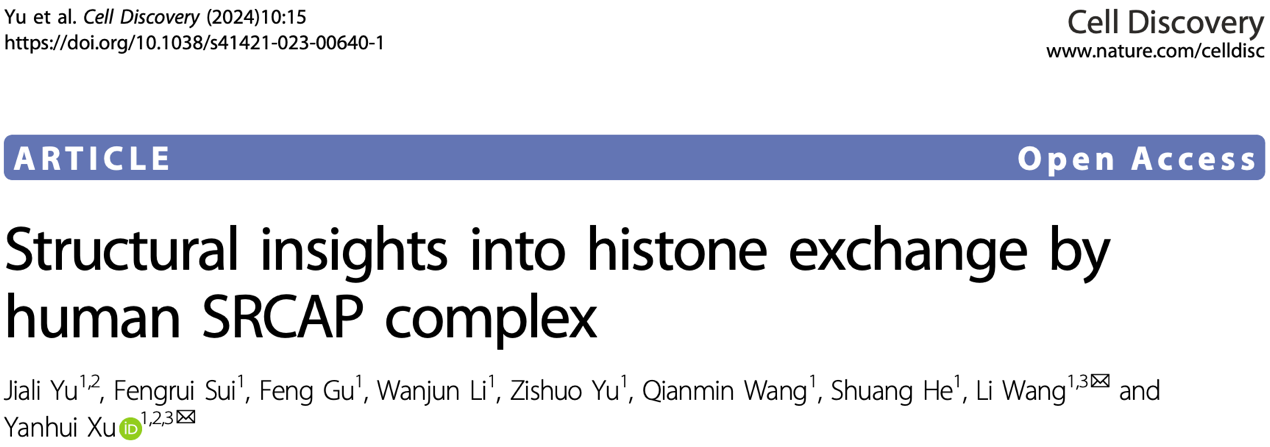 生物医学研究院徐彦辉团队揭示SRCAP复合物介导组蛋白H2A.Z置换的分子机制