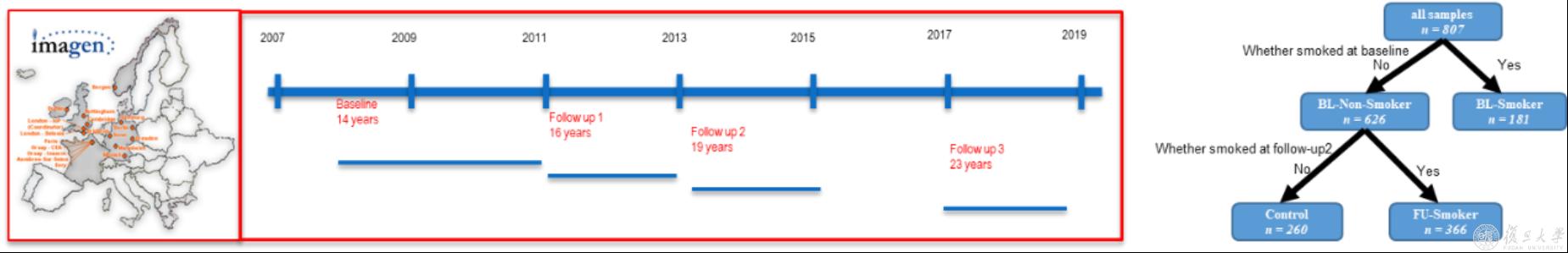 类脑智能科学与技术研究院贾天野/冯建峰团队揭示吸烟行为起始和维持的神经行为学基础