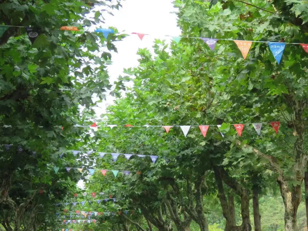 复旦大学迎来4000余名2021级本科生新生