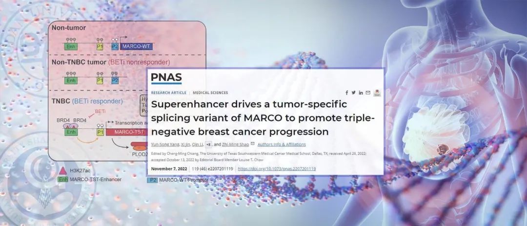 复旦上医2022年11月科研成果一览