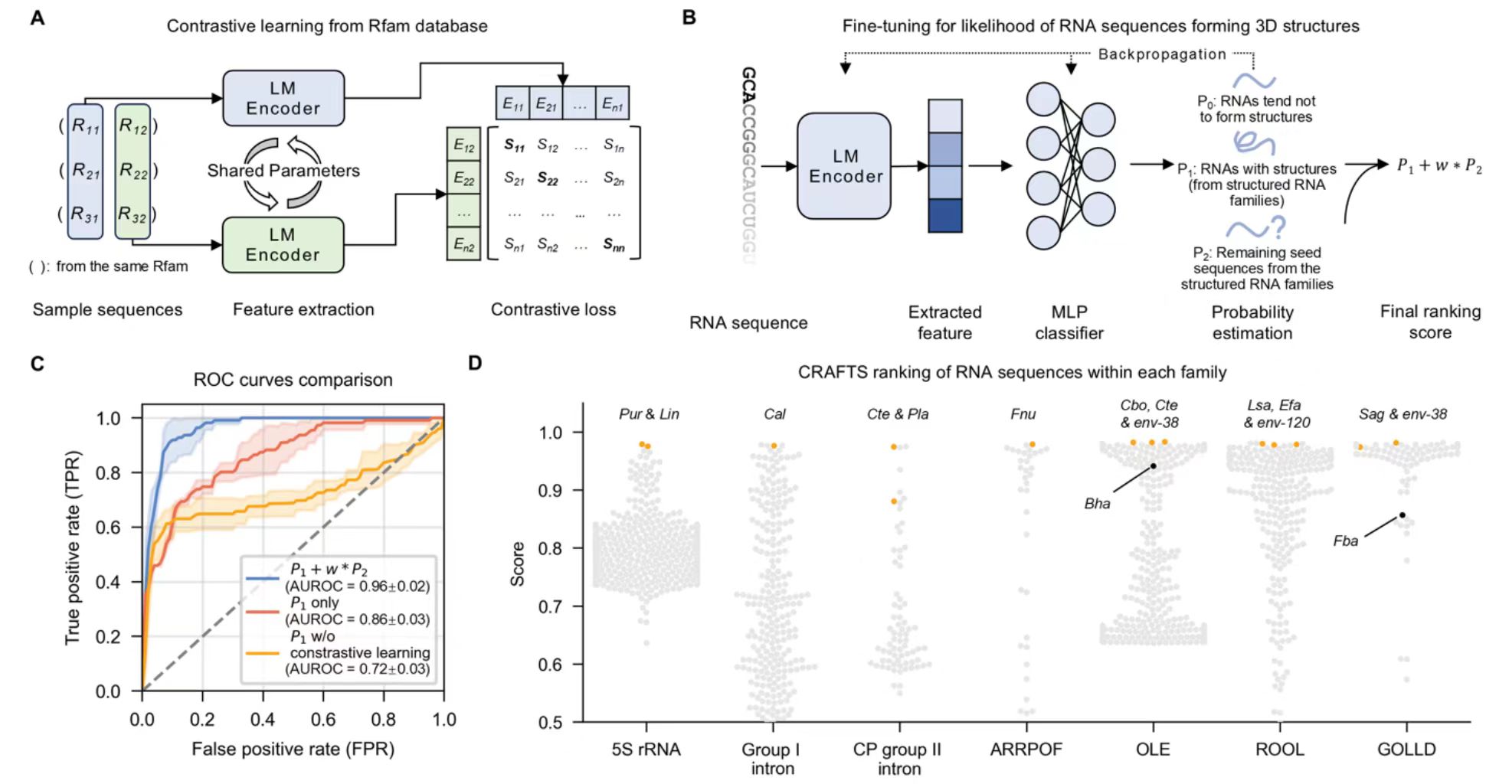 AI4S再突破！复旦团队让RNA分析不再“开盲盒”