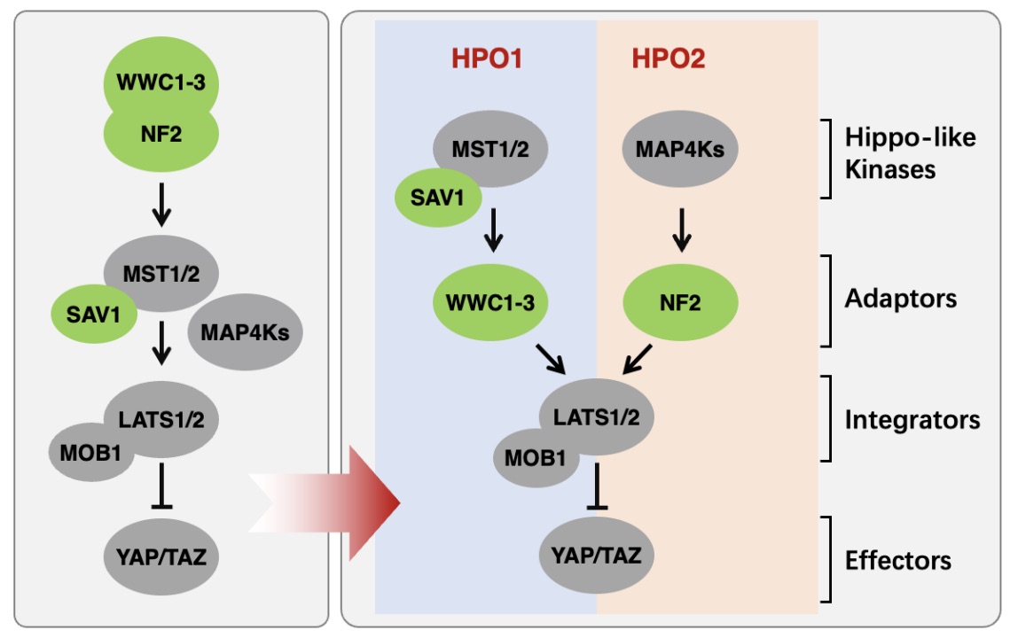 【科研速递】复旦上医2023年3月科研成果一览