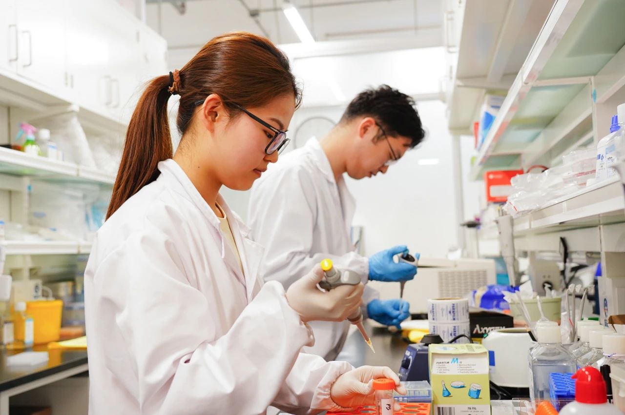 复旦大学上海医学院2024年全国优秀大学生夏令营报名开启